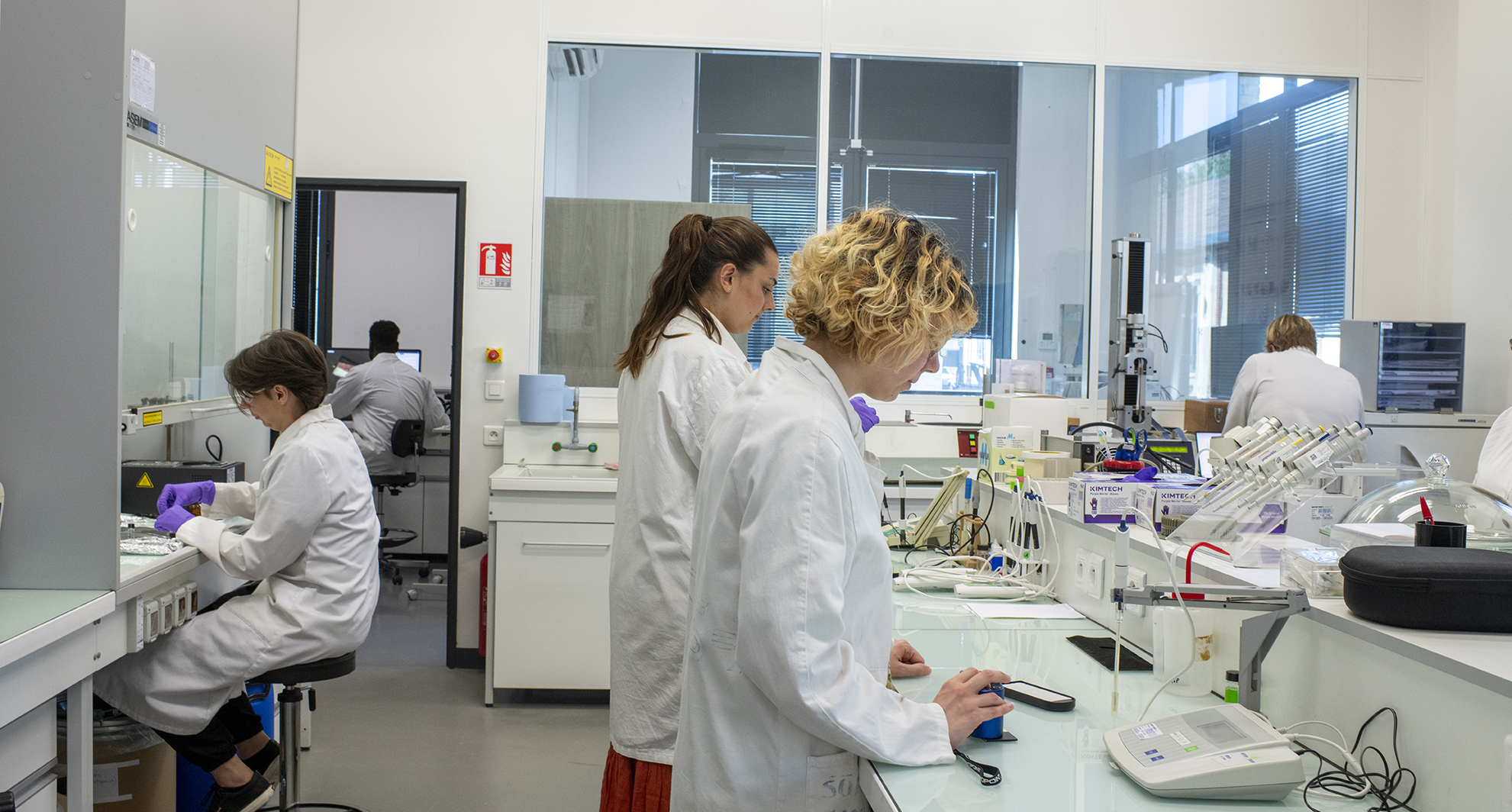 Des recherches tunisiennes ont permis de produire des médicaments ...